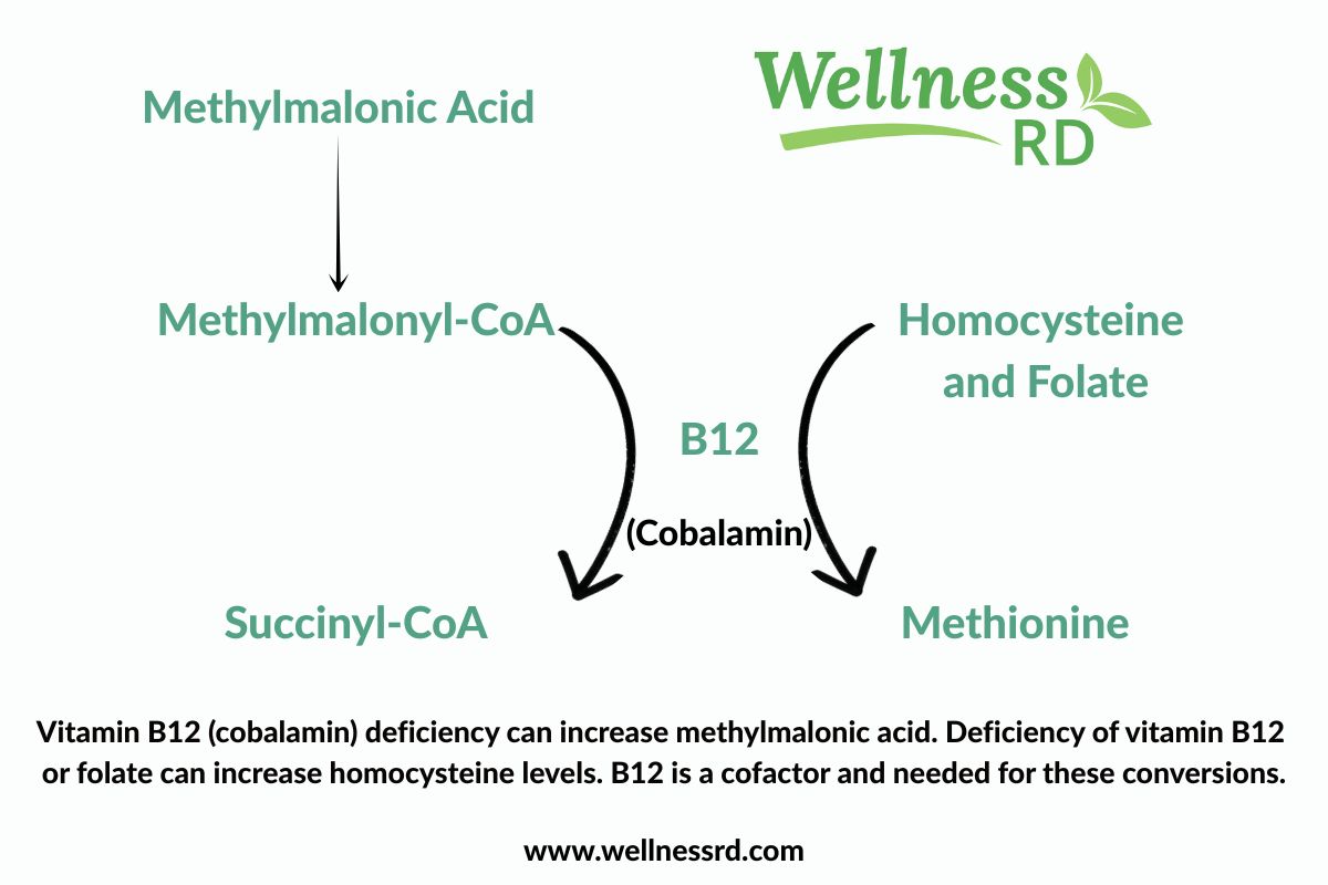 High MMA with Normal B12? The Truth About B12 Testing- Wellness RD LLC